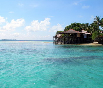 Salika Tour and Travel